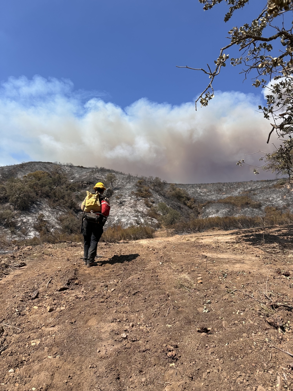 Photo Gallery – El Centro Firefighters Association